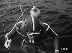 Immersion language learning: The best way to learn a new language